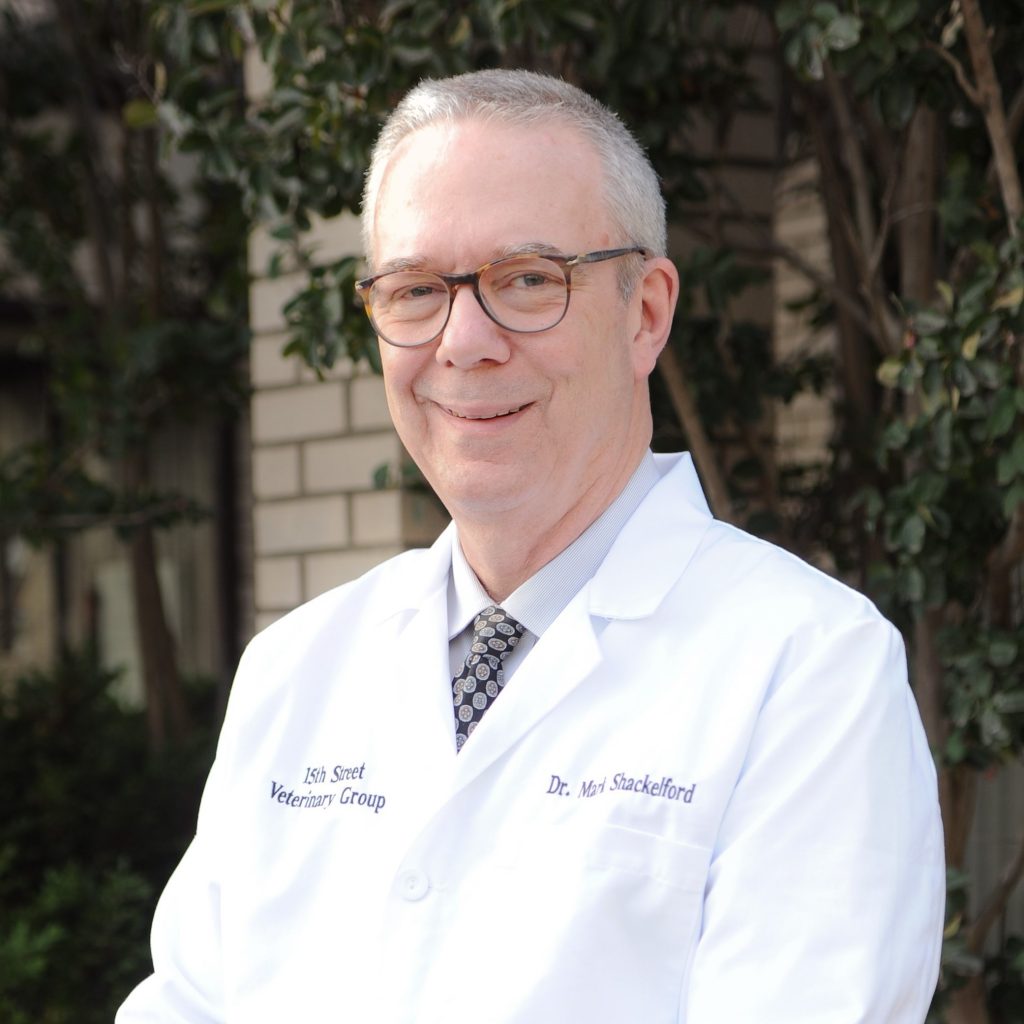 Our Veterinary Team | 15th Street Veterinary Group